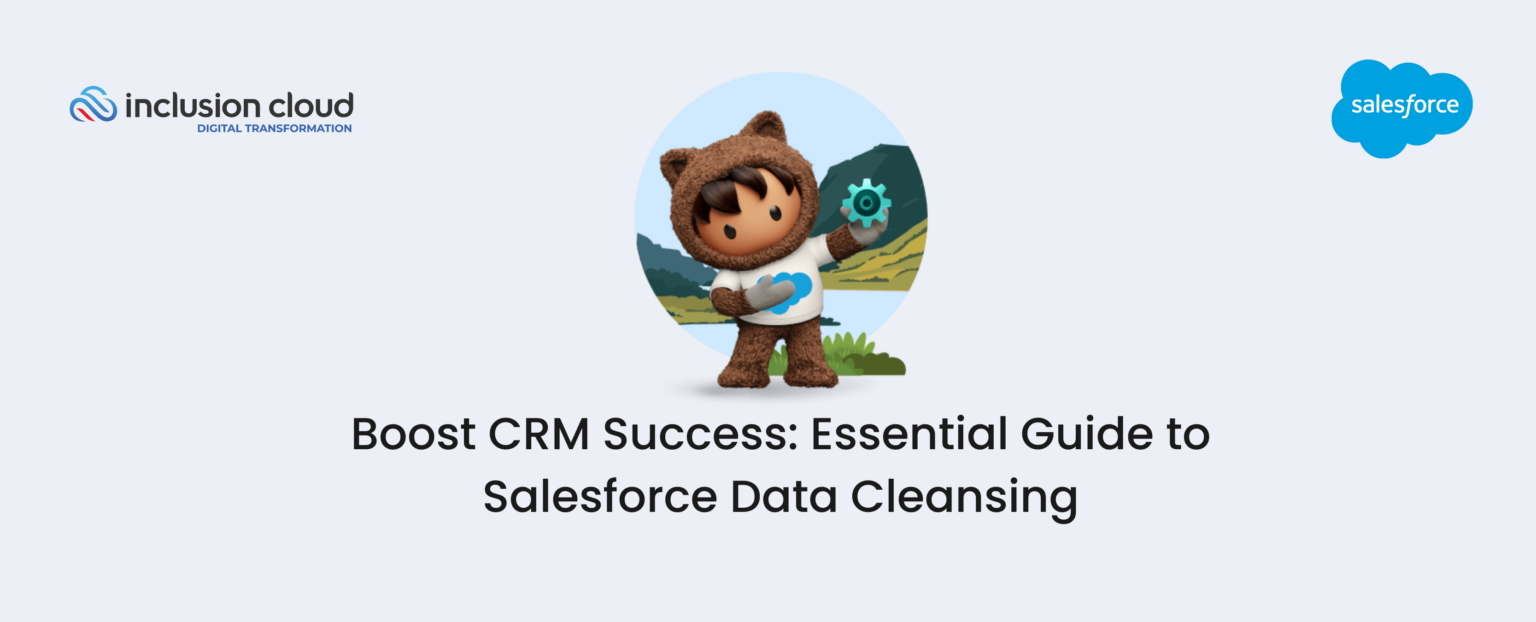 Enhancing Data Quality & Cleansing in Salesforce - Inclusion Cloud
